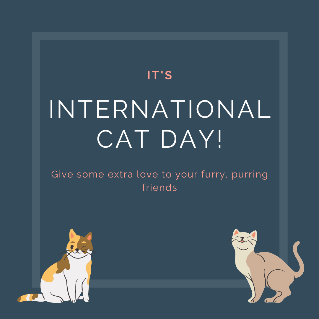 It’s International Cat Day! | The Vegan Cat Librarian