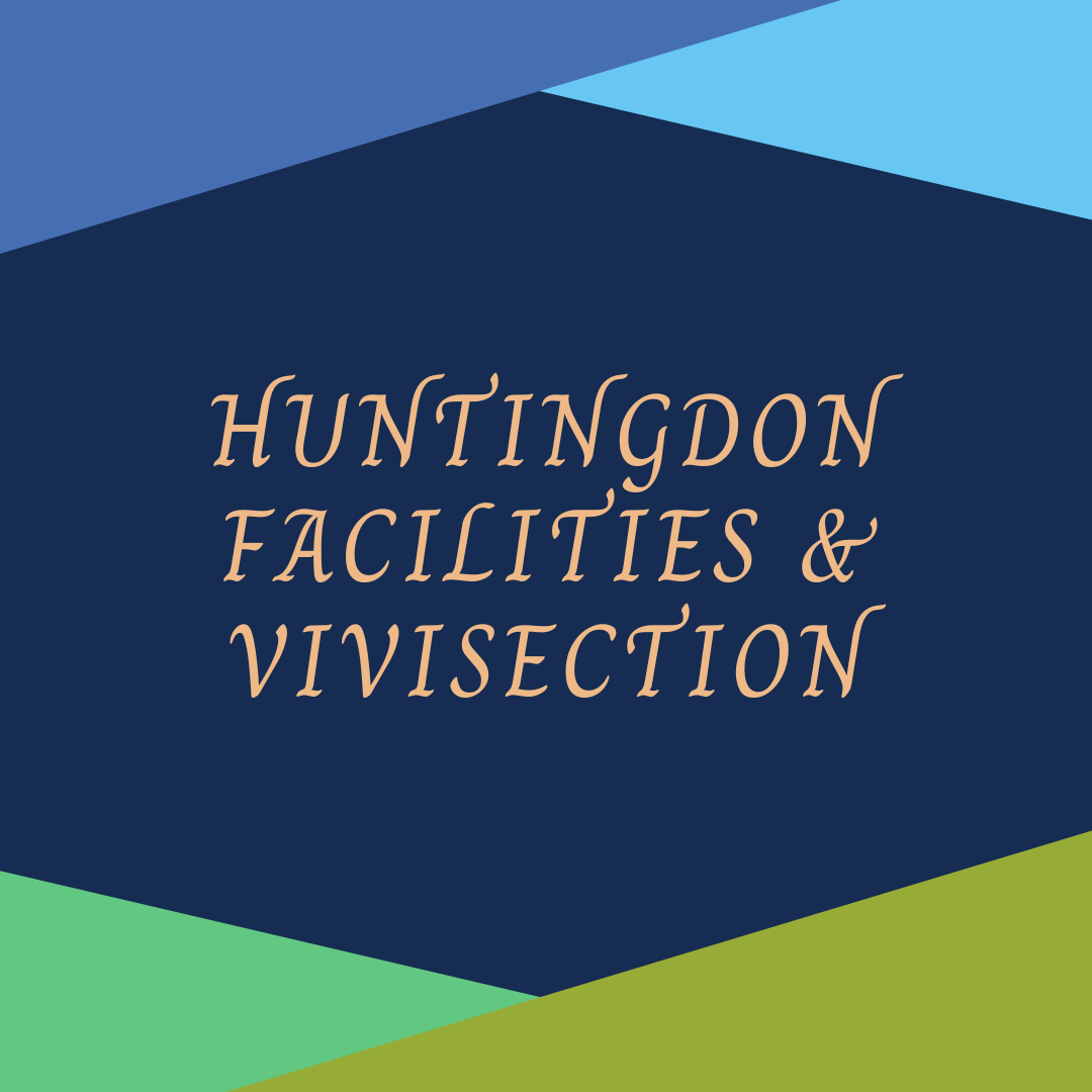 Huntingdon Facility & Vivisection | The Vegan Cat Librarian